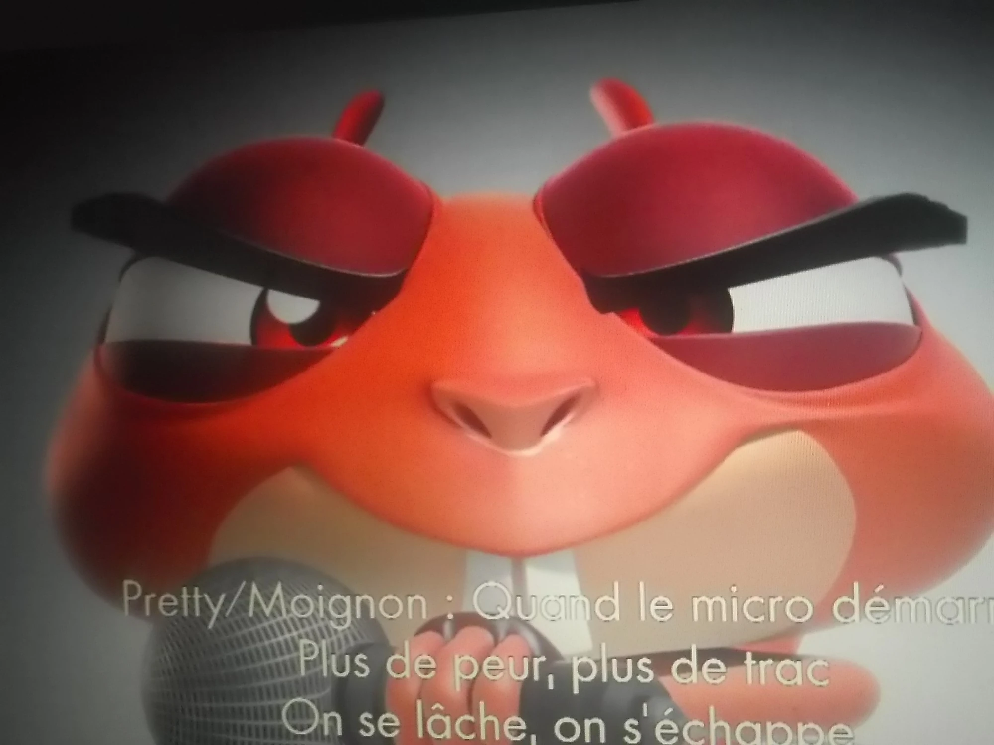 Moignon | Wiki Kaeloo | FANDOM powered by Wikia