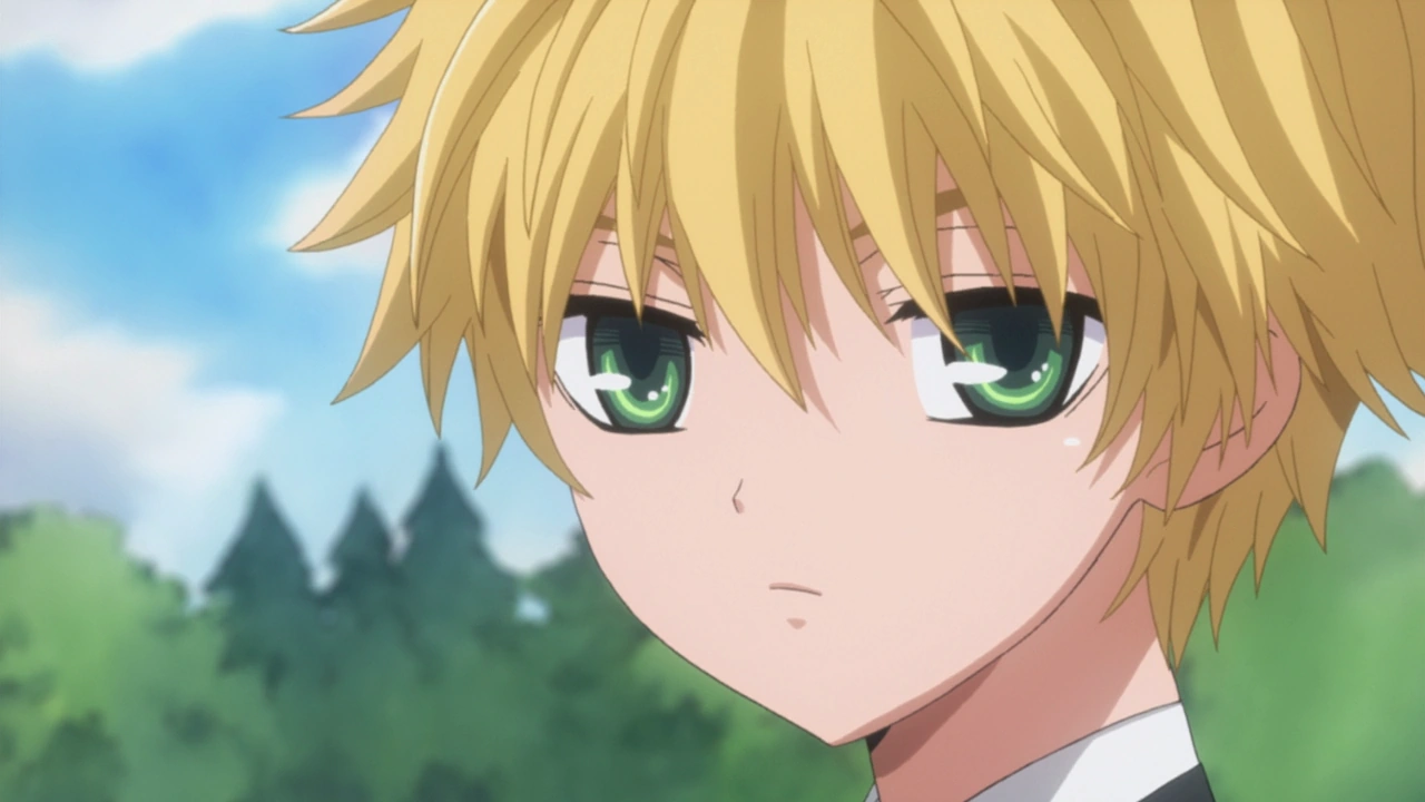 Takumi Usui | Wiki Kaichō wa Maid-sama! | Fandom