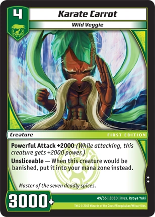 2DED-The Dojo Edition | DM:Akashic Record