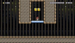 Troll Level | Kaizo Mario Maker Wikia | Fandom