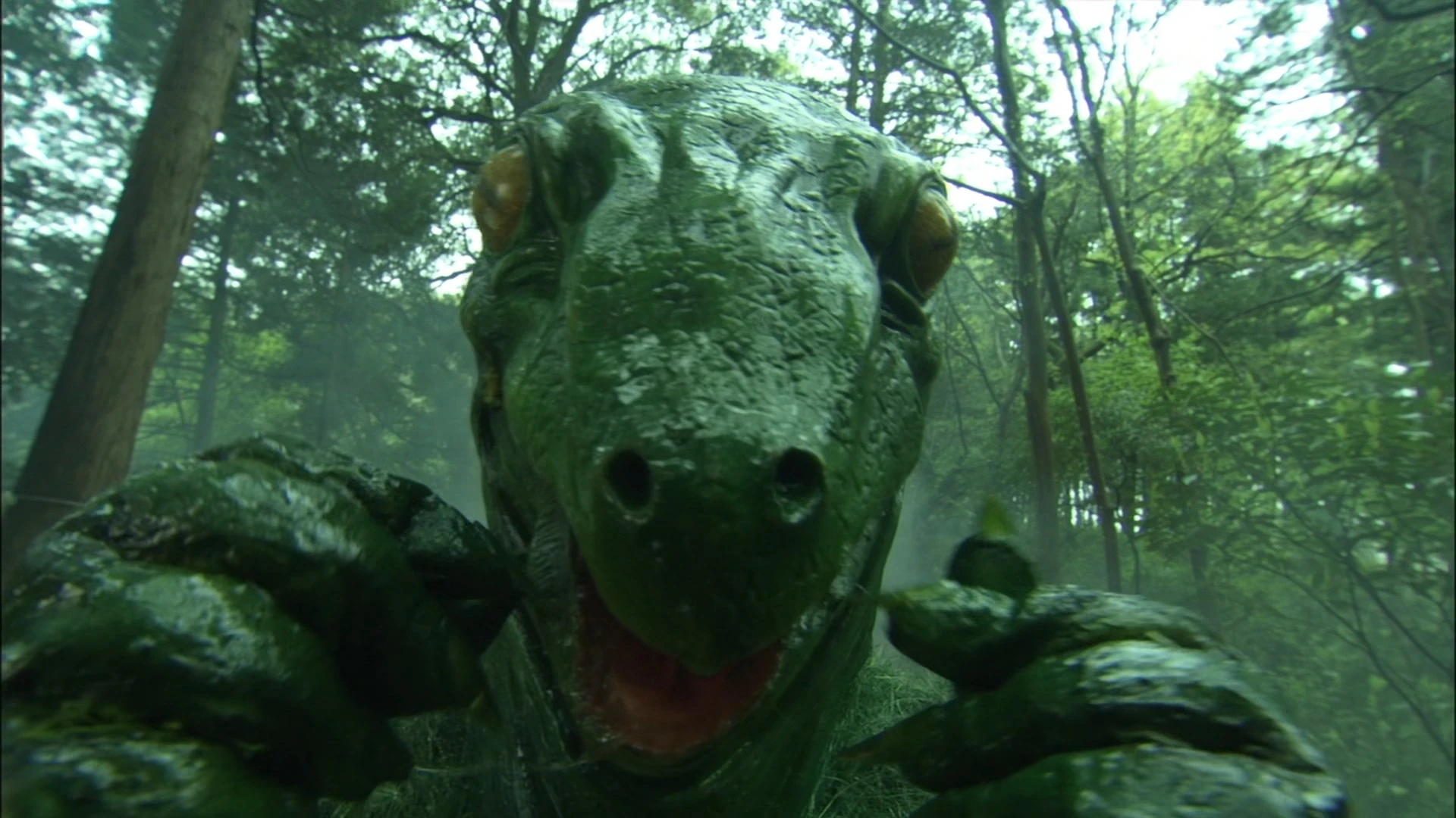 Category:Frog Monsters | Kamen Rider Wiki | Fandom