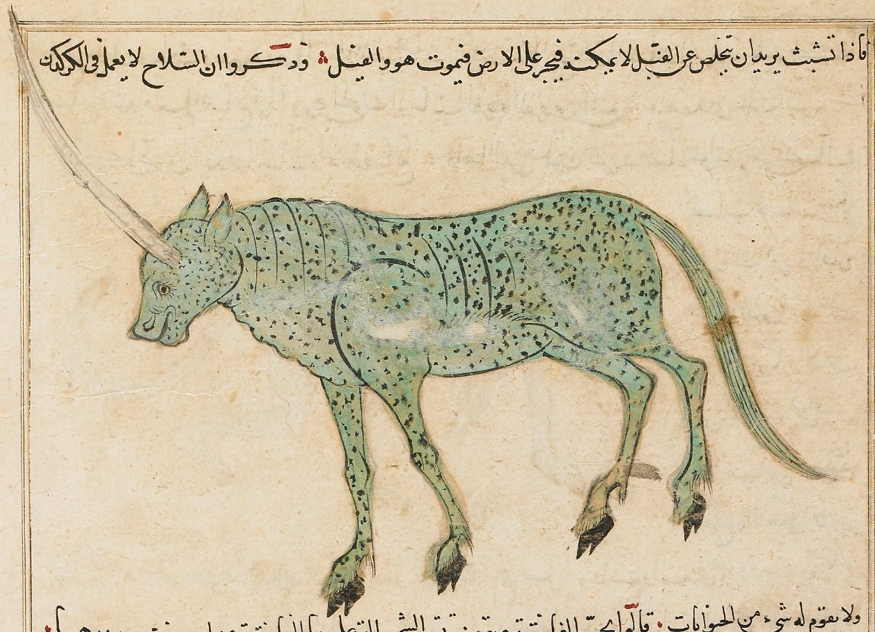 Karkadann | Unicorn Wiki | Fandom