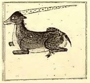 Shadhavar | Unicorn Wiki | Fandom