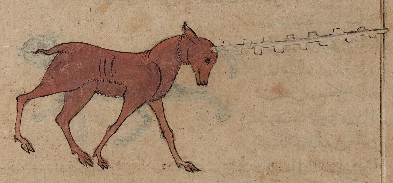 Shadhavar | Unicorn Wiki | Fandom