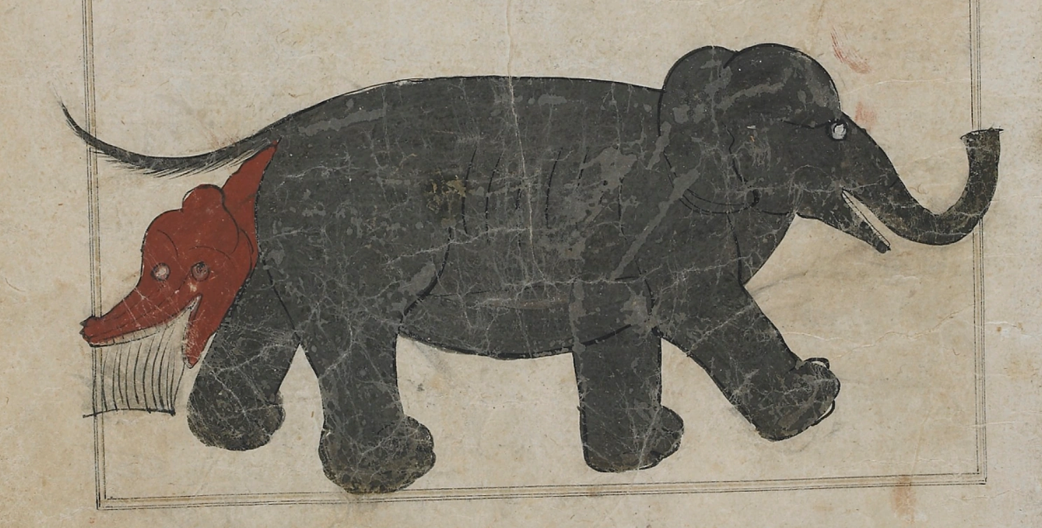 Sinad | Unicorn Wiki | Fandom