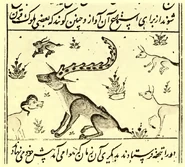 Shadhavar | Unicorn Wiki | Fandom