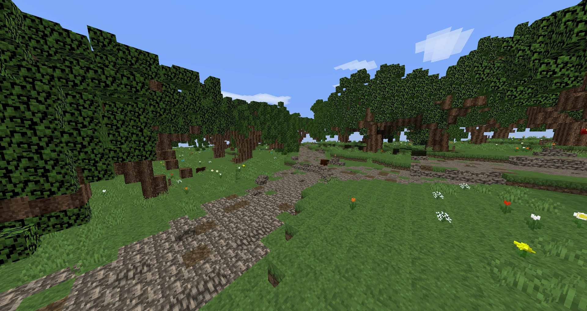 Meandering Forest | Karma Network MC Wiki | Fandom