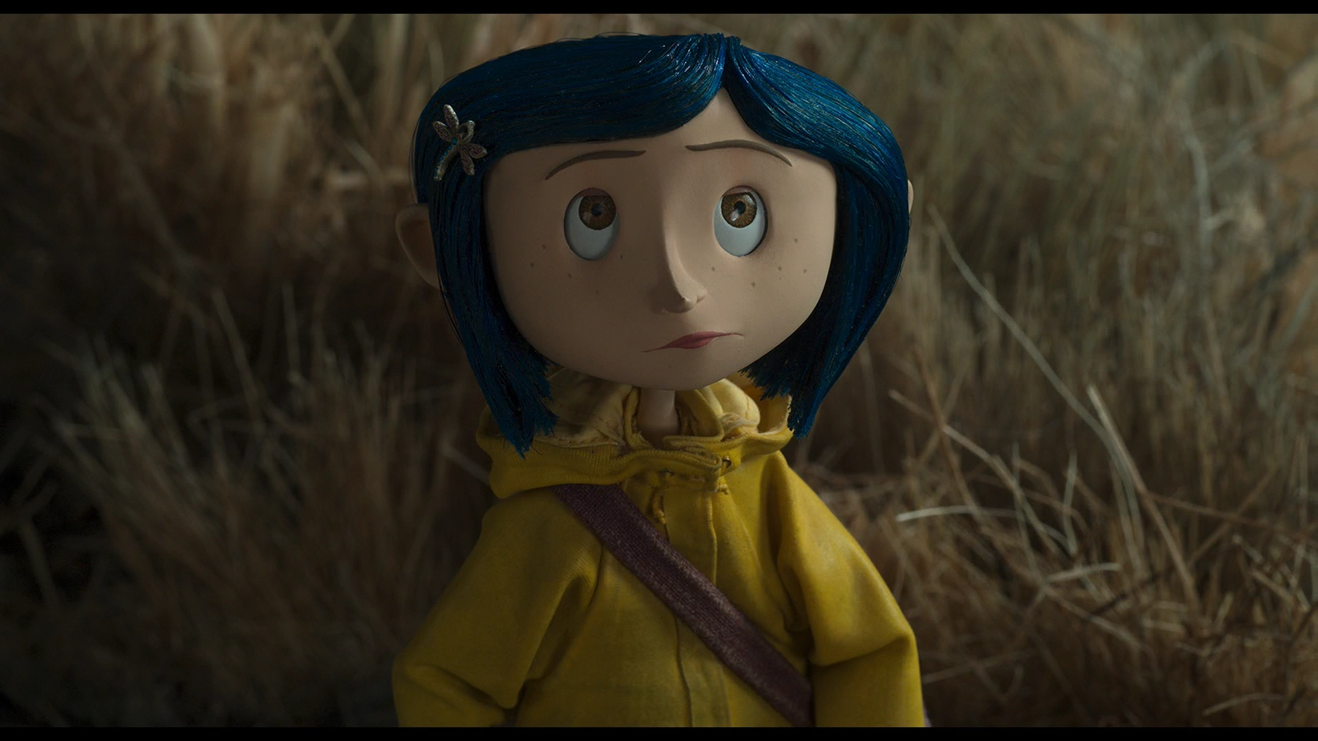 Coraline Jones | Katie Sandow's Adventures Wiki | FANDOM powered by Wikia
