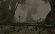 The Swamp | Kenshi Wiki | Fandom