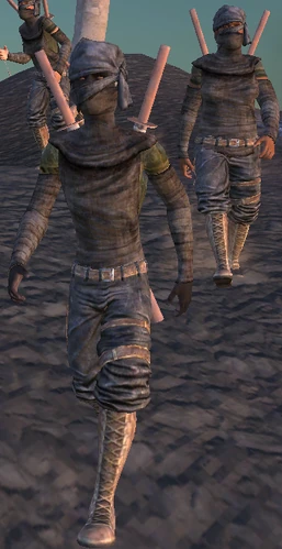 Cloud Ninja | Kenshi Wiki | Fandom