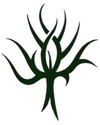 Ehlonna | Keren D&D World Wiki | Fandom