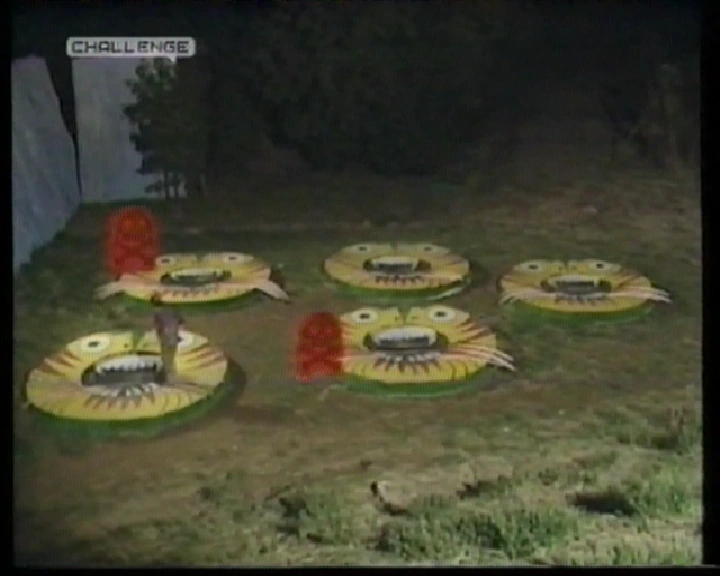 Final Fall | Takeshi's Castle Wiki | FANDOM powered by Wikia