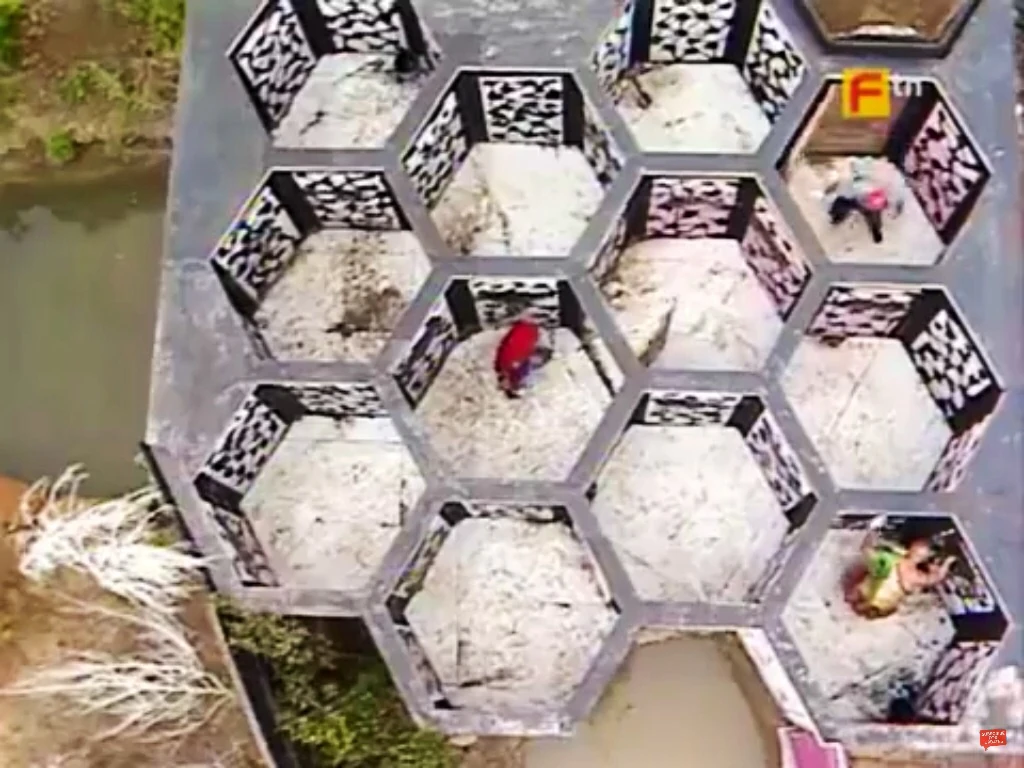 Image - HoneycombMazeEp50.jpg | Takeshi's Castle Wiki | FANDOM powered ...