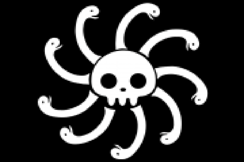 Kuja Pirates | Keyblade Universe Wiki | Fandom
