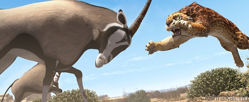 Phango | Khumba Wiki | FANDOM powered by Wikia