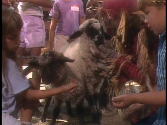 Image - Vlcsnap-2016-06-25-16h36m04s537.png | Kidsongs Wiki | FANDOM ...