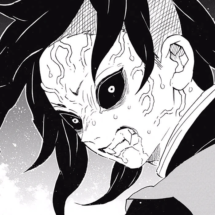 Genya Shinazugawa/Image Gallery | Kimetsu no Yaiba Wikia | Fandom