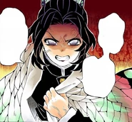 Shinobu Kocho/Image Gallery | Kimetsu no Yaiba Wikia | FANDOM powered ...