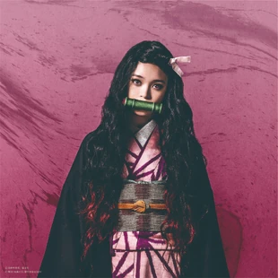 Nezuko Kamado | Wiki Kimetsu no Yaiba | Fandom