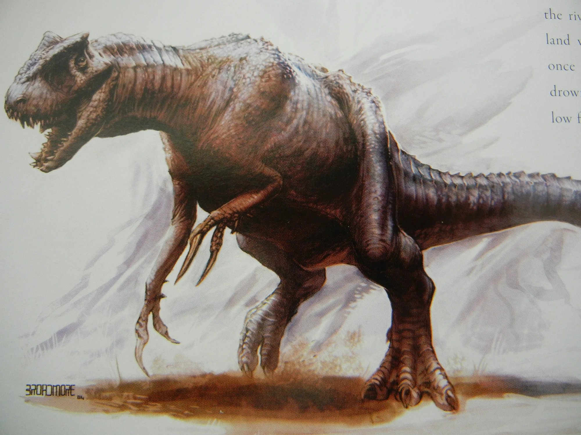 Aciedactylus | King Kong Wiki | FANDOM powered by Wikia