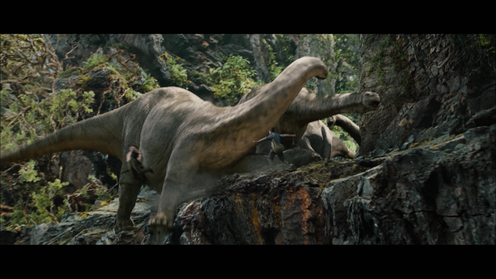 Image Image47 King Kong Wiki Fandom Powered By Wikia