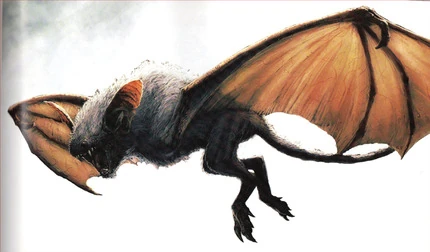 Noctadorior alba | King Kong Wiki | FANDOM powered by Wikia