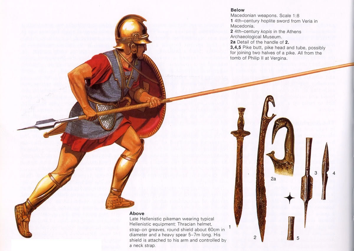 Hysteroi Pezhetairoi | Kings and Conquerors Wiki | FANDOM powered by Wikia