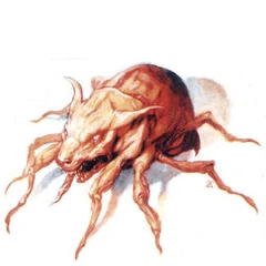 Miska the Wolf-Spider | Kingsway Role Playing Group Wiki | Fandom