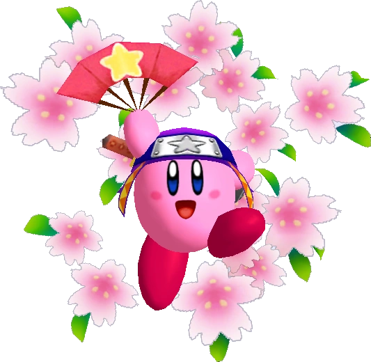 Ninja | Kirbypedia | Fandom