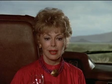 Elizabeth Knight | Knight Rider | Fandom