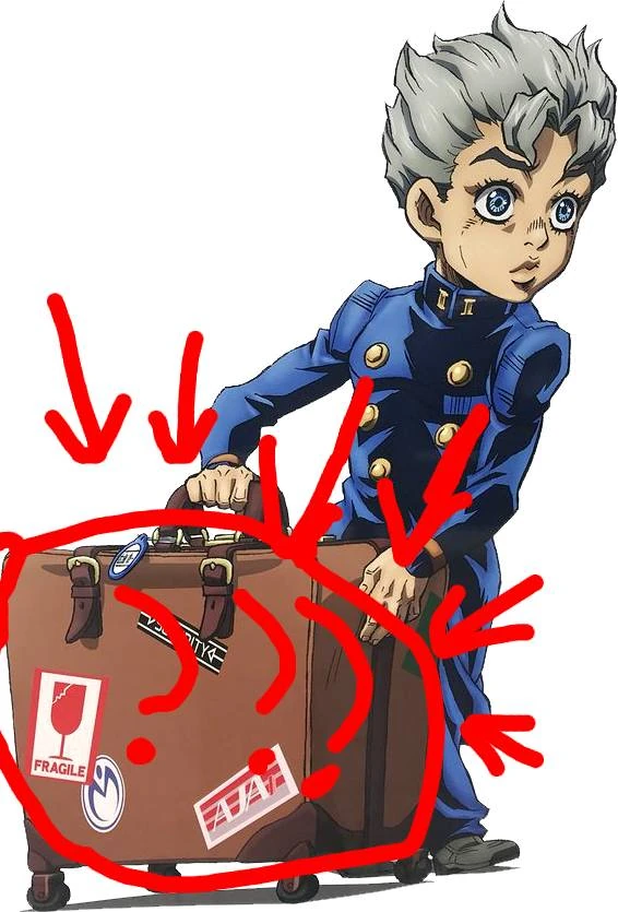Koichi's Luggage | Koichi Pose Wiki | Fandom