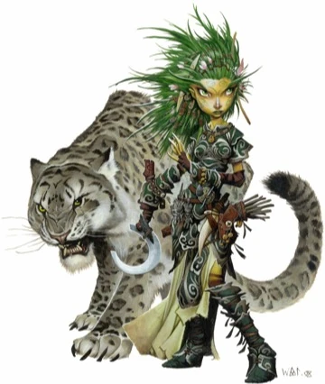Druid (Pathfinder) | Snitchcat Wiki | FANDOM powered by Wikia