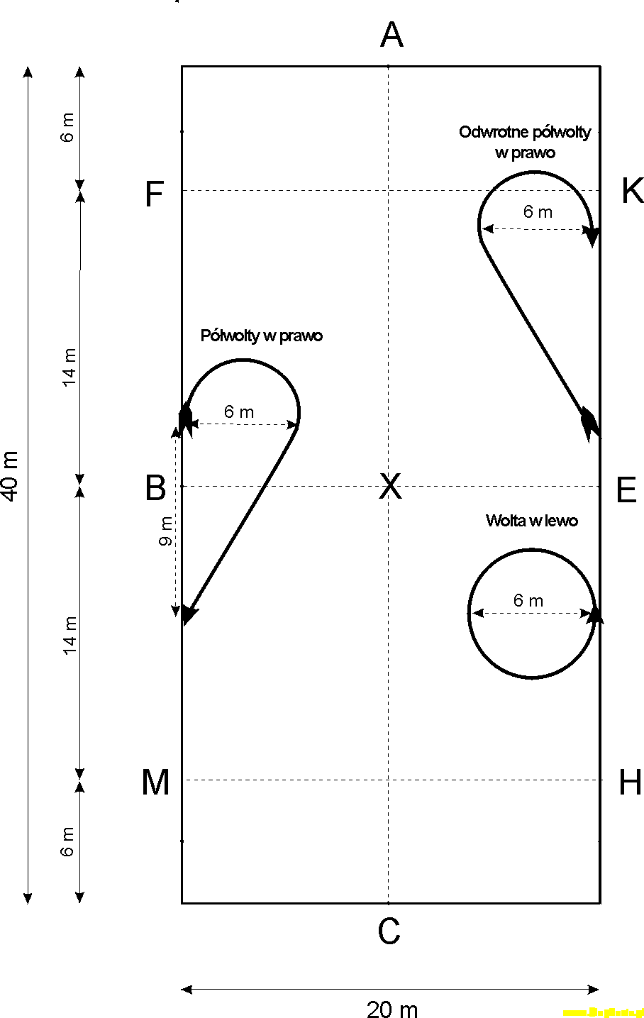 Wolta | Koń Wiki | Fandom