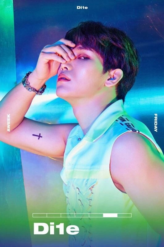 Di1e | Kpop Wiki | Fandom