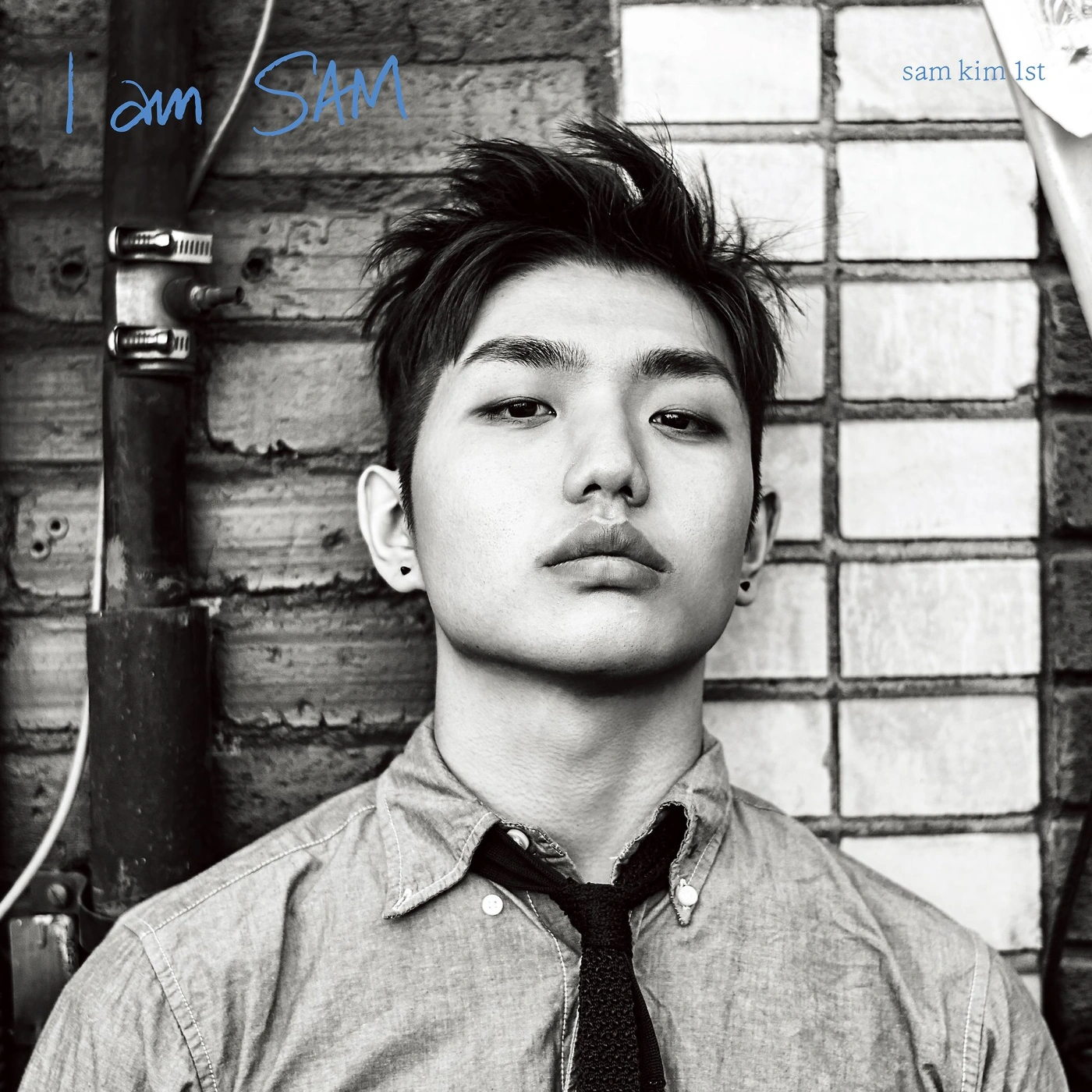 Category:Sam Kim | Kpop Wiki | Fandom