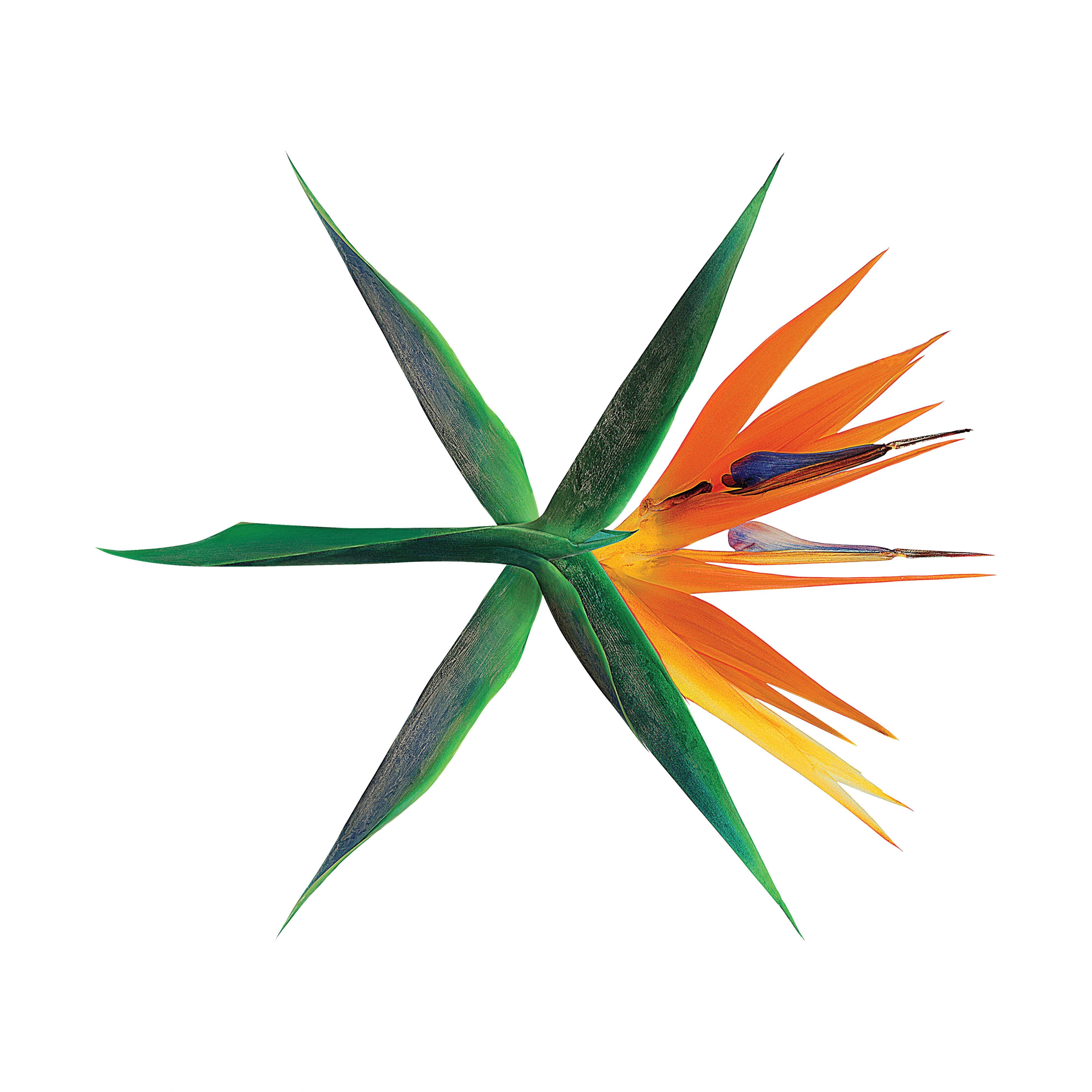 Image - EXO The War digital cover art.png | Kpop Wiki | FANDOM powered ...