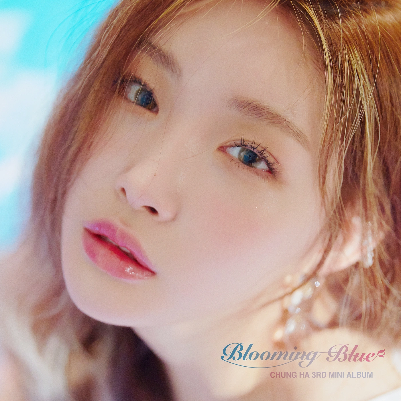 Blooming Blue | Kpop Wiki | Fandom
