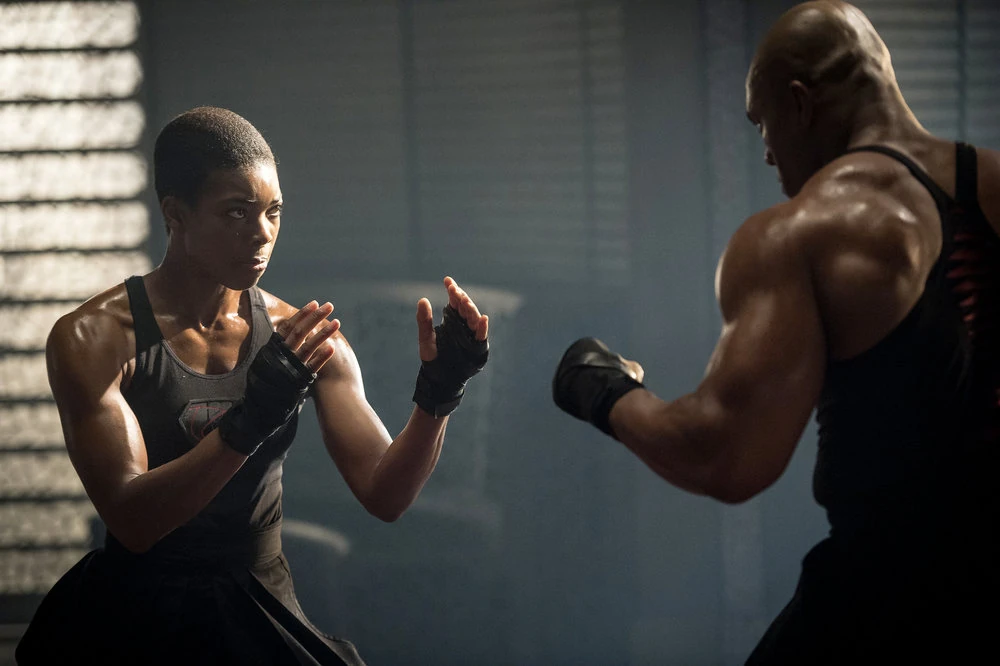 House of Zod | Krypton Series Wiki | Fandom