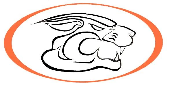 2020 Centralia Panthers Football Team | Kansas High School Athletics ...