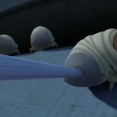 See No Weevil | Kung Fu Panda Wiki | Fandom