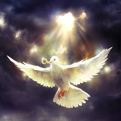 Shallya | Wiki La Biblioteca del Viejo Mundo | FANDOM powered by Wikia