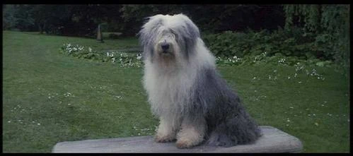 Merlin | Labyrinth Wiki | Fandom