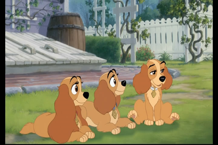 Annette Collette And Danielle Lady And The Tramp Wiki Fandom
