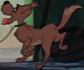 Nutsy | Lady And The Tramp Wiki | Fandom