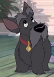Jock | Lady And The Tramp Wiki | Fandom