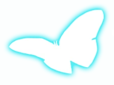 Akuma | Miraculous Ladybug Wiki | Fandom