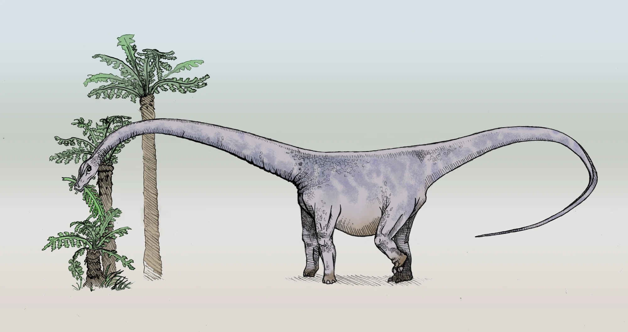 Barosaurus | Land Before Time Wiki | FANDOM powered by Wikia