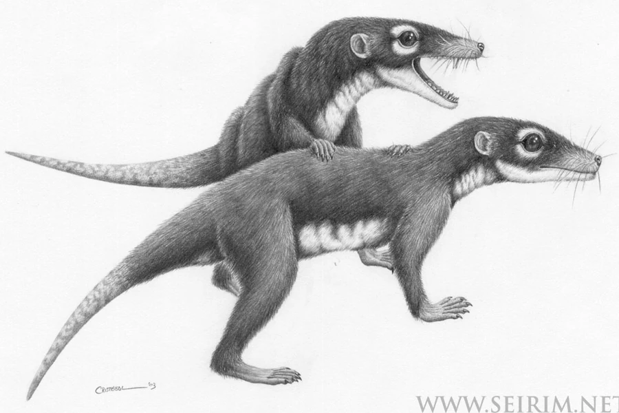 Image - Morganucodon.jpg | Land Before Time Wiki | FANDOM powered by Wikia