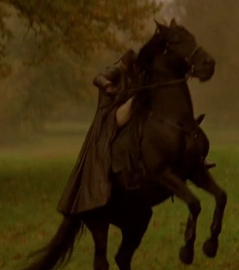 Horse | Lara Croft Wiki | Fandom