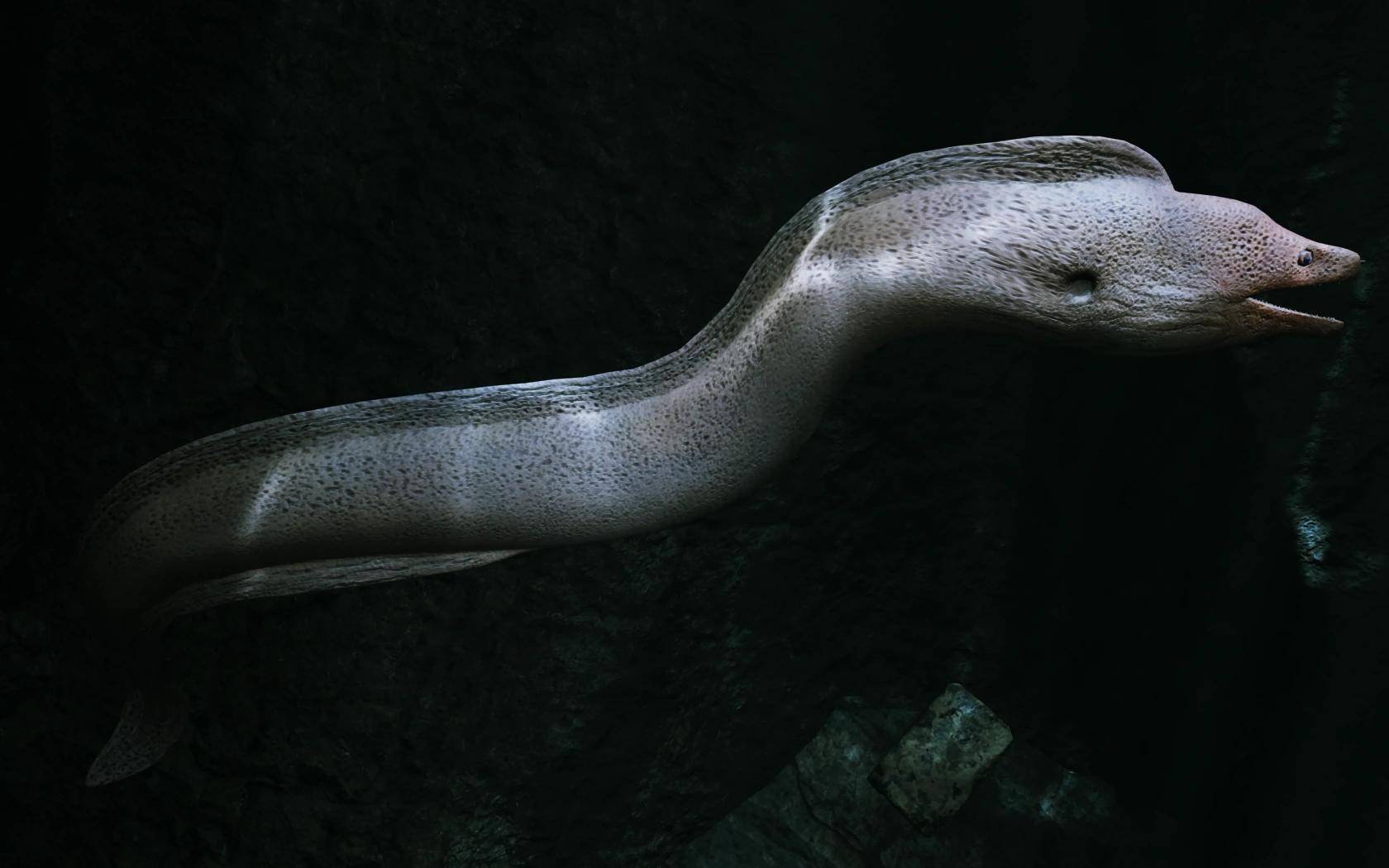 Eel | Lara Croft Wiki | Fandom